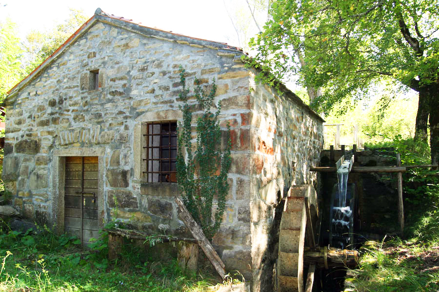 HIKING IN DRAGONJA VALLEY TOUR - Koper Trips